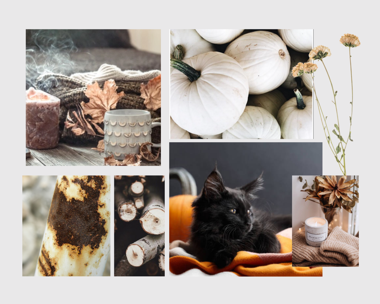 Simon Says: Fall Colors Mood Board