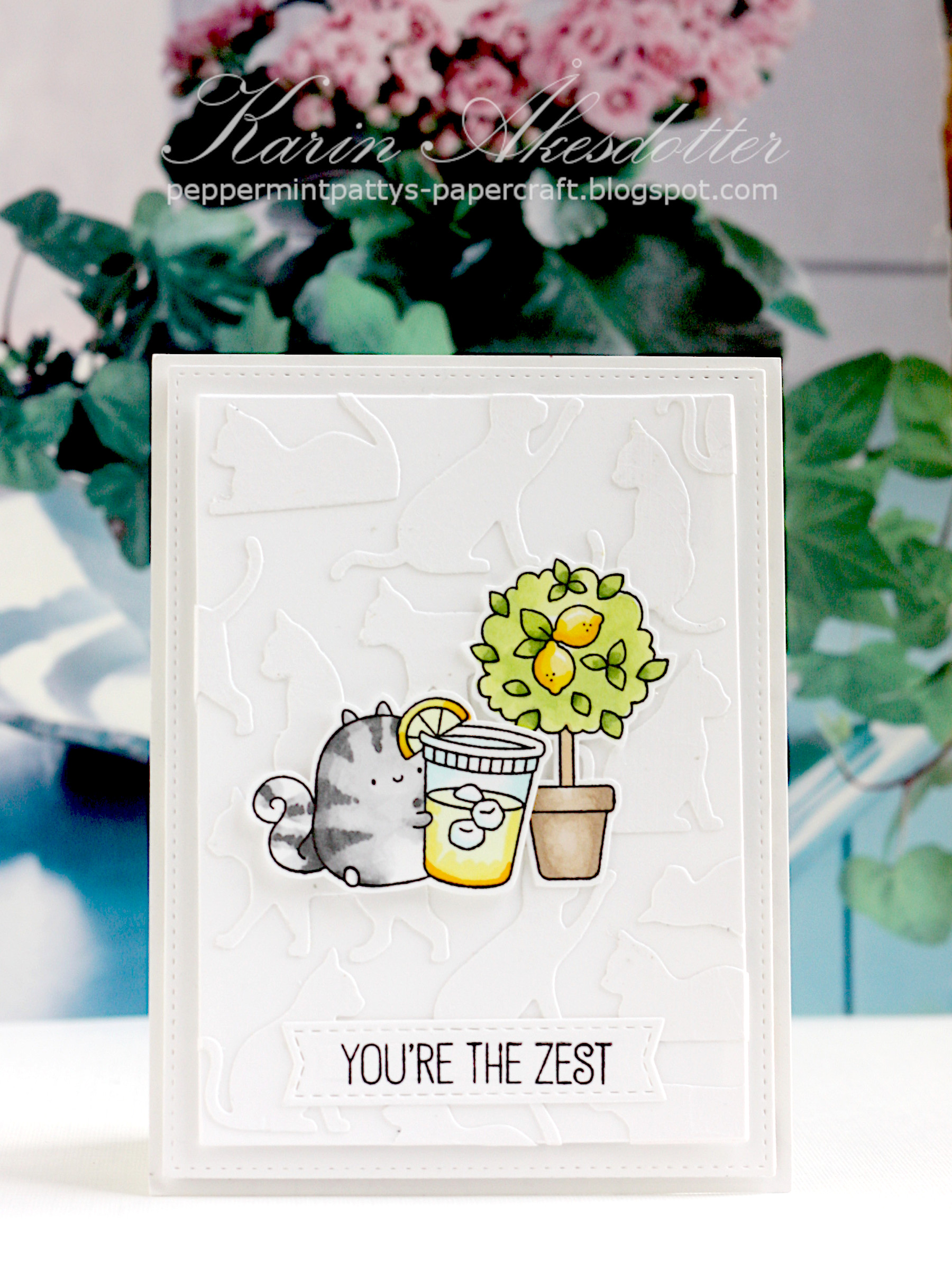 Simon Says: Cute Critters