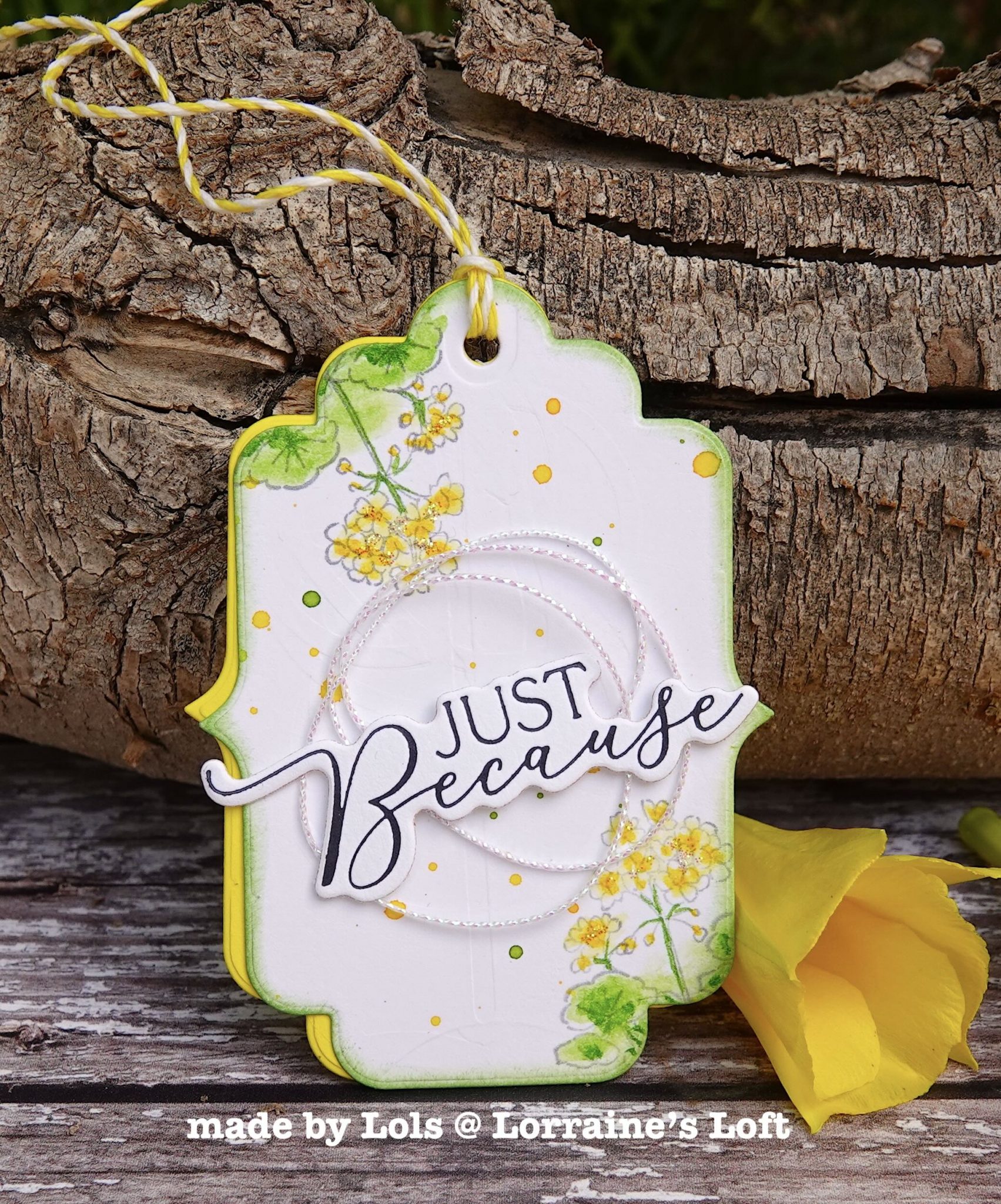 So now it’s YOUR turn to join in the fun!