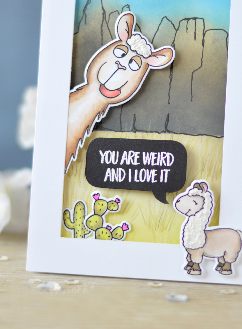 Gerda Steiner Designs: Llama Tell You!