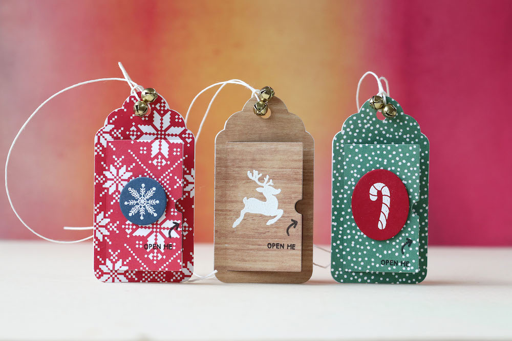 Surprise! It’s our NEW Limited Edition Holiday Tag Kit!!!