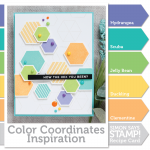 Color Coordinates with Shari Carroll