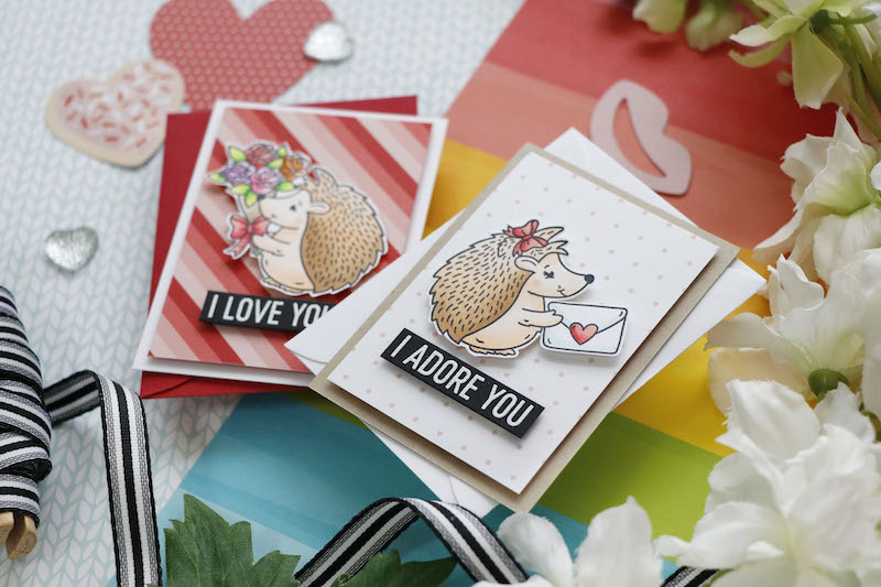 Introducing our NEW 2019 Limited Edition Valentine Card Kit!