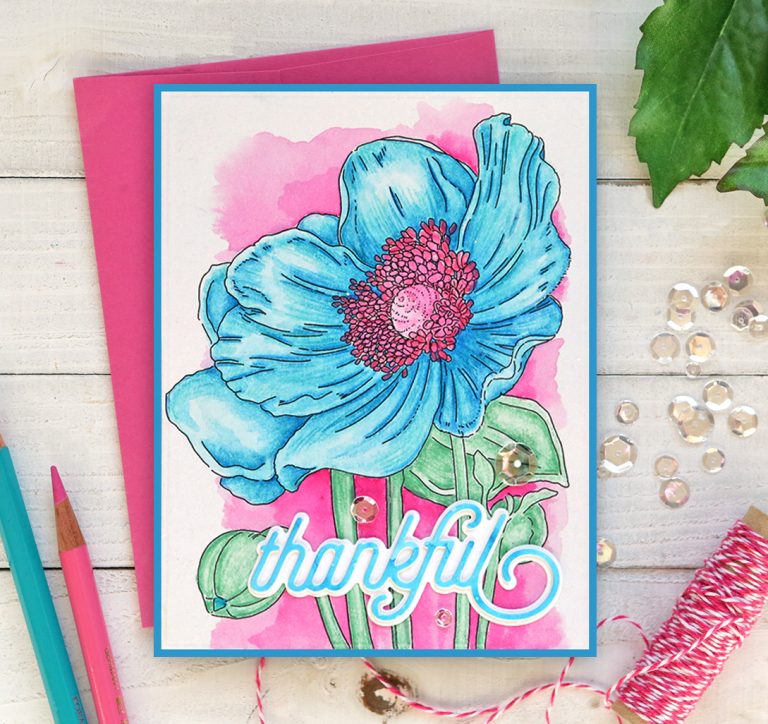 Suzy’s Spring Flowers!