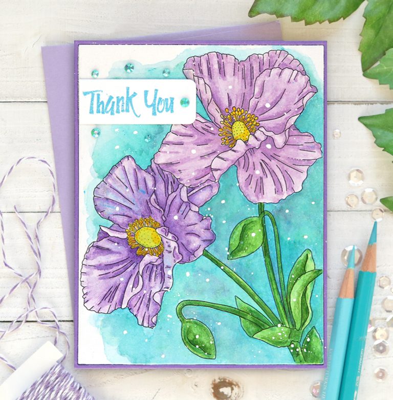 Suzy’s Spring Flowers!