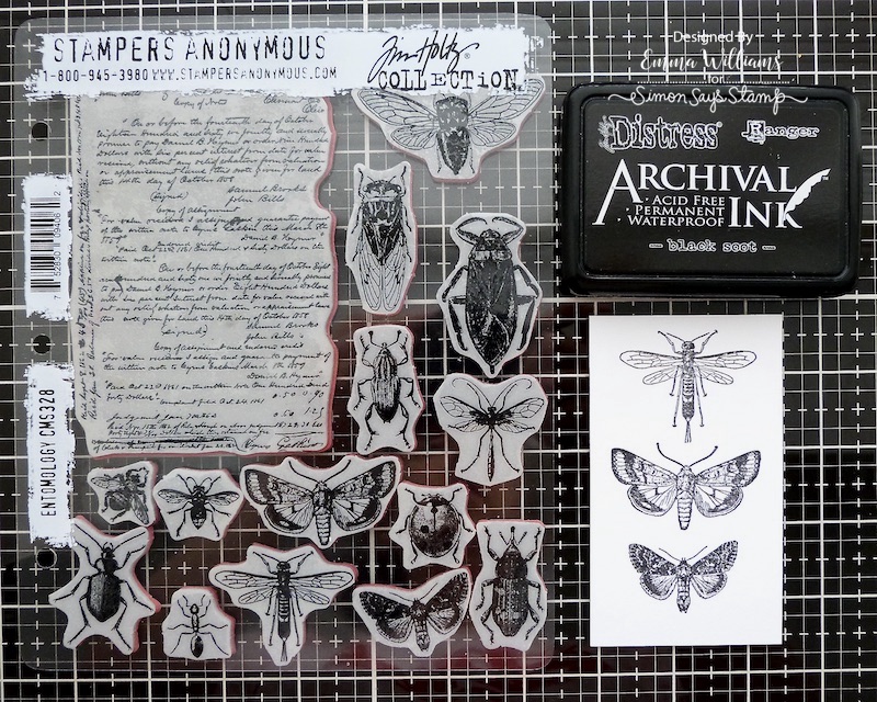 Specimens Vignette Tray by Emma