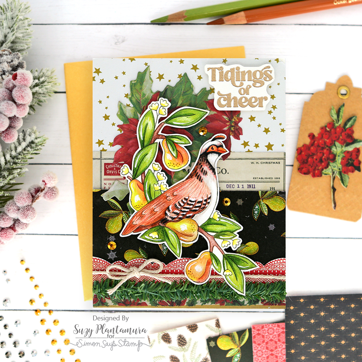 Limited Edition 2022 Holiday Kit: Festive Feathered Friends!