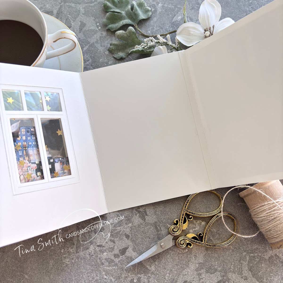 Try this! Tri-Fold Peek-A-Boo Window Card with Tina Smith